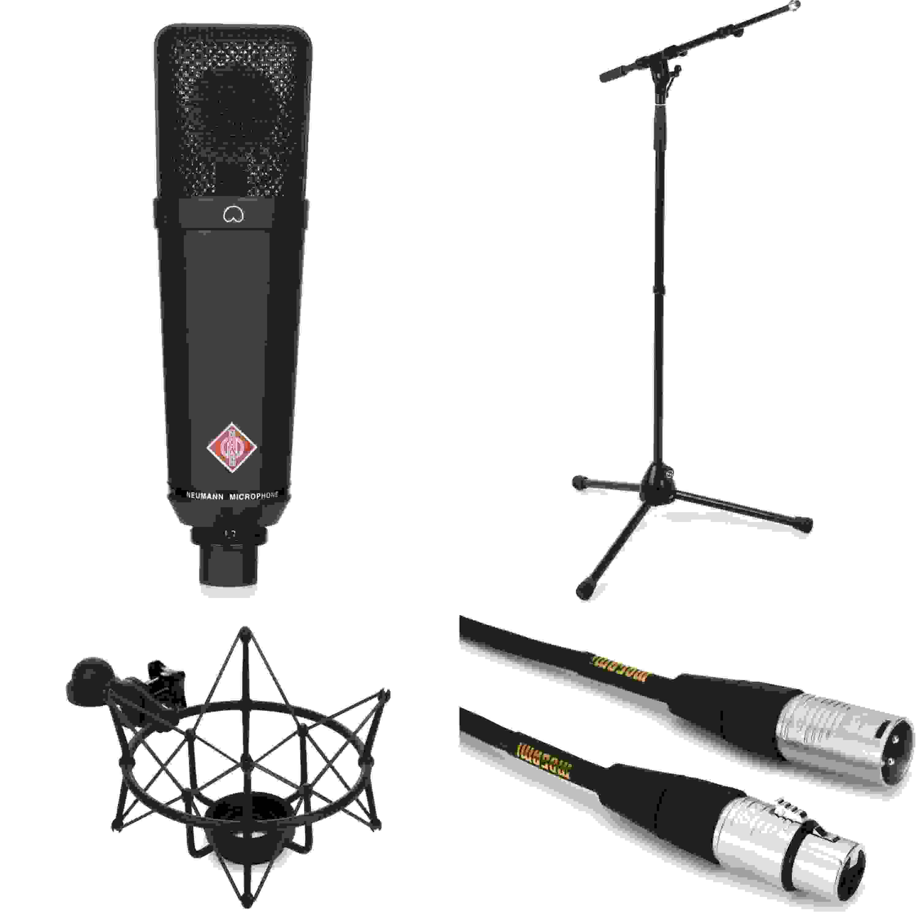 Neumann TLM 193 Large-diaphragm Condenser Microphone with Stand and ...