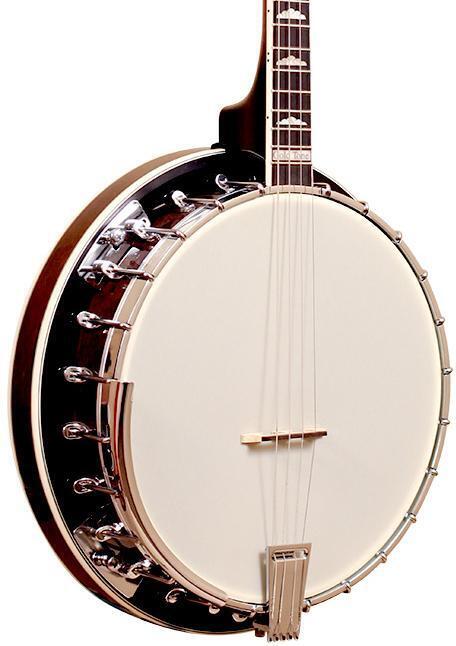 Gold Tone IT-250R Irish Tenor Banjo - Vintage Brown | Sweetwater