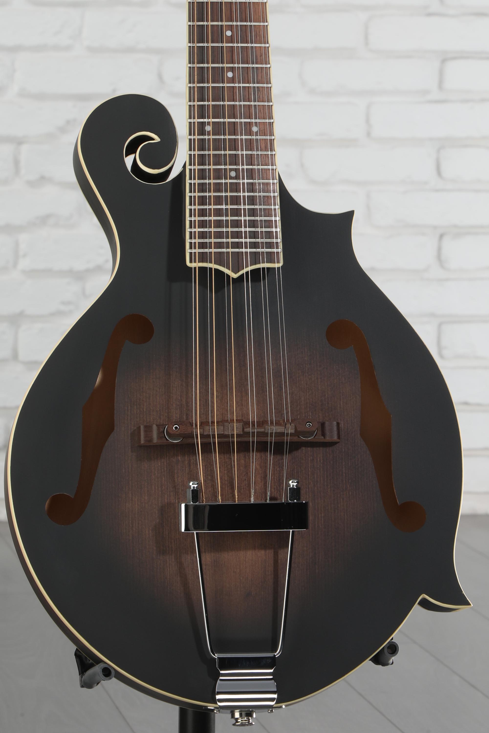 Gold Tone F-12 12-string Acoustic-electric Mando-Guitar - Tobacco ...