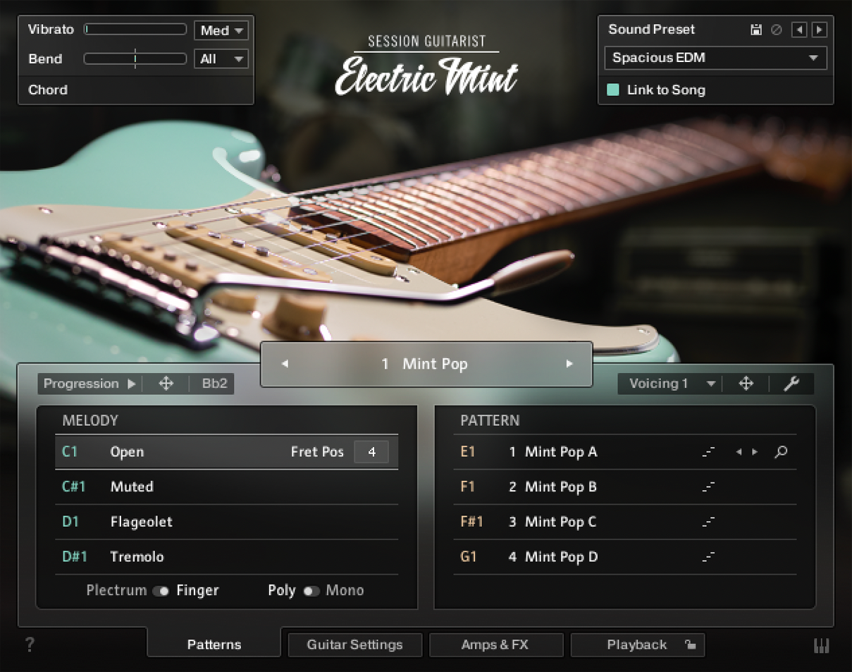 Native Instruments Session Guitarist - Electric Mint Virtual Instrument ...