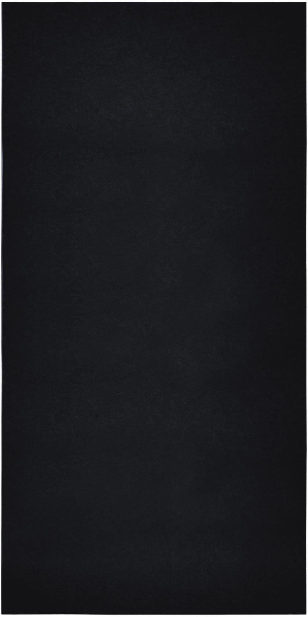 Primacoustic EcoScapes 4-foot x 8-foot Wall Panel - Onyx | Sweetwater