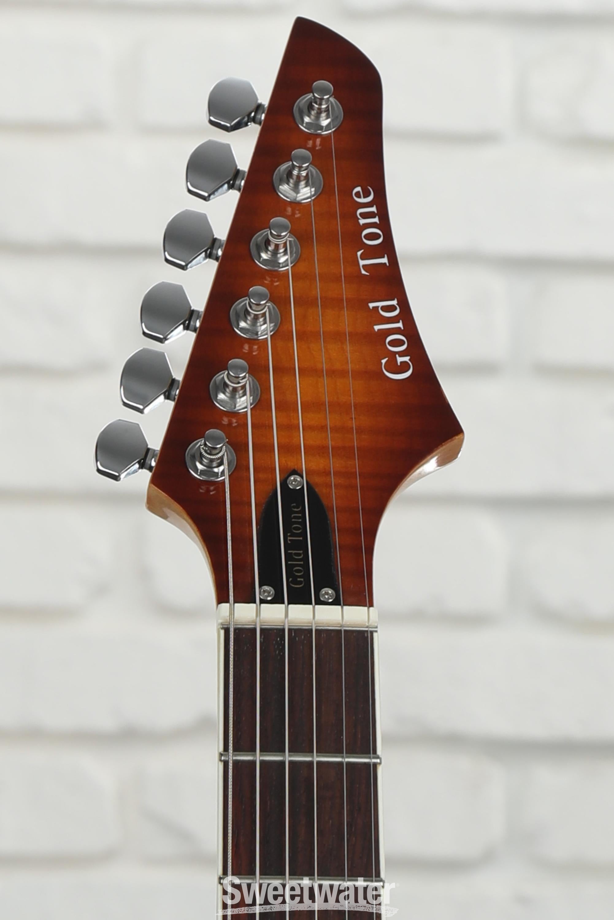 Gold Tone ES-Banjitar 6-string Electric Banjitar - Tobacco Sunburst ...