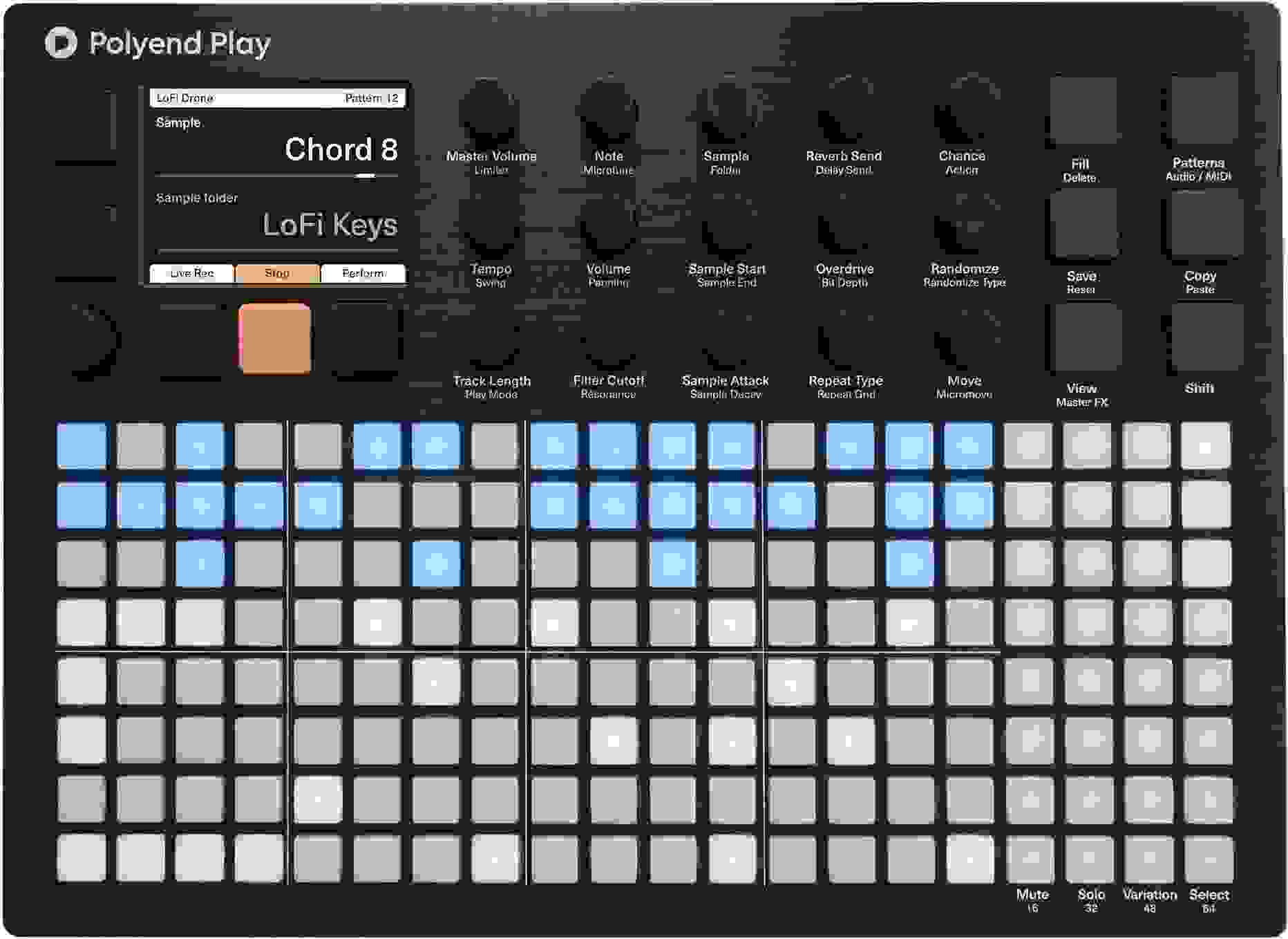 Polyend Play Audio and MIDI Sampler, Sequencer, and Groovebox | Sweetwater