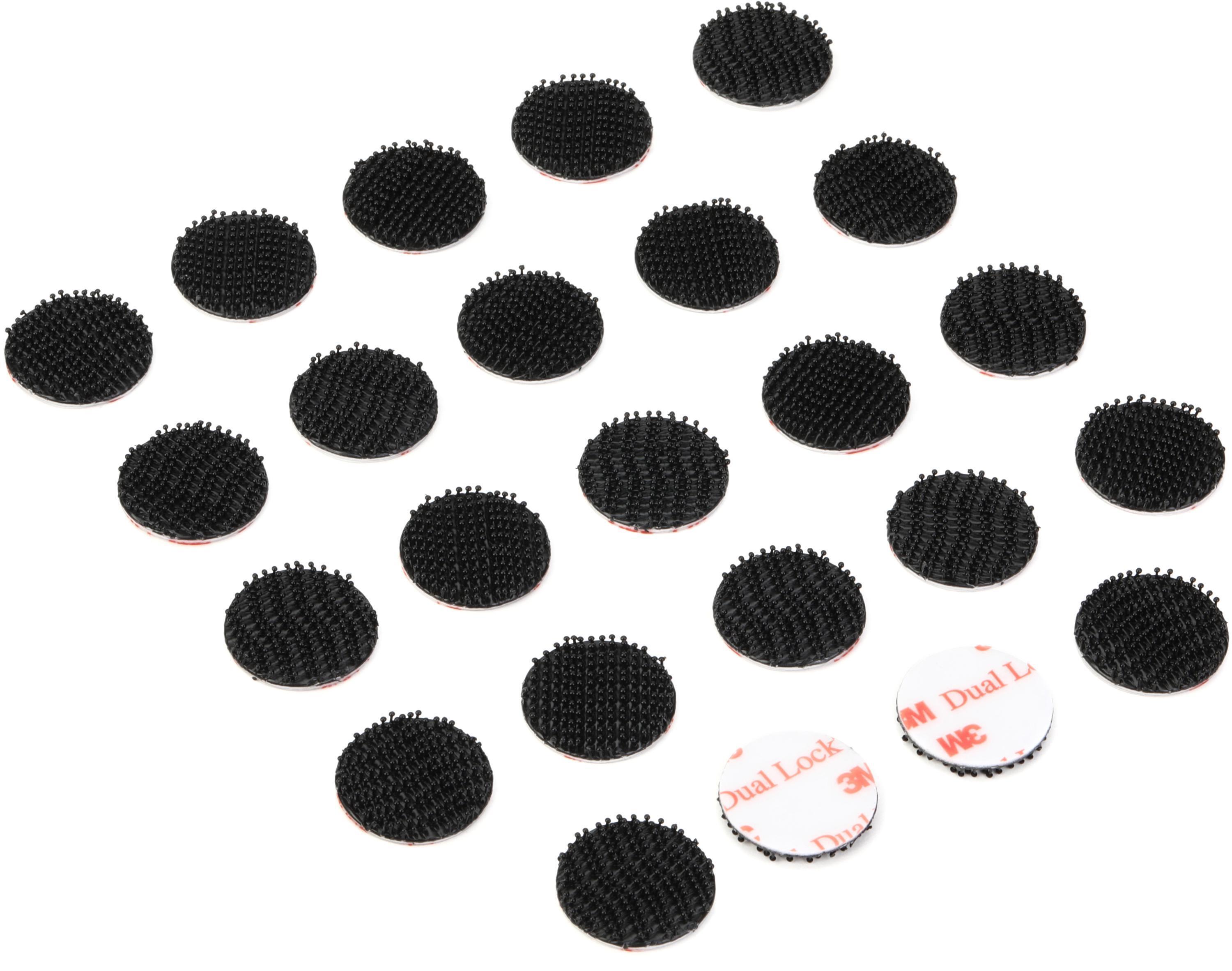 Gator Pro Locking Fastener Coins - 24-pack | Sweetwater
