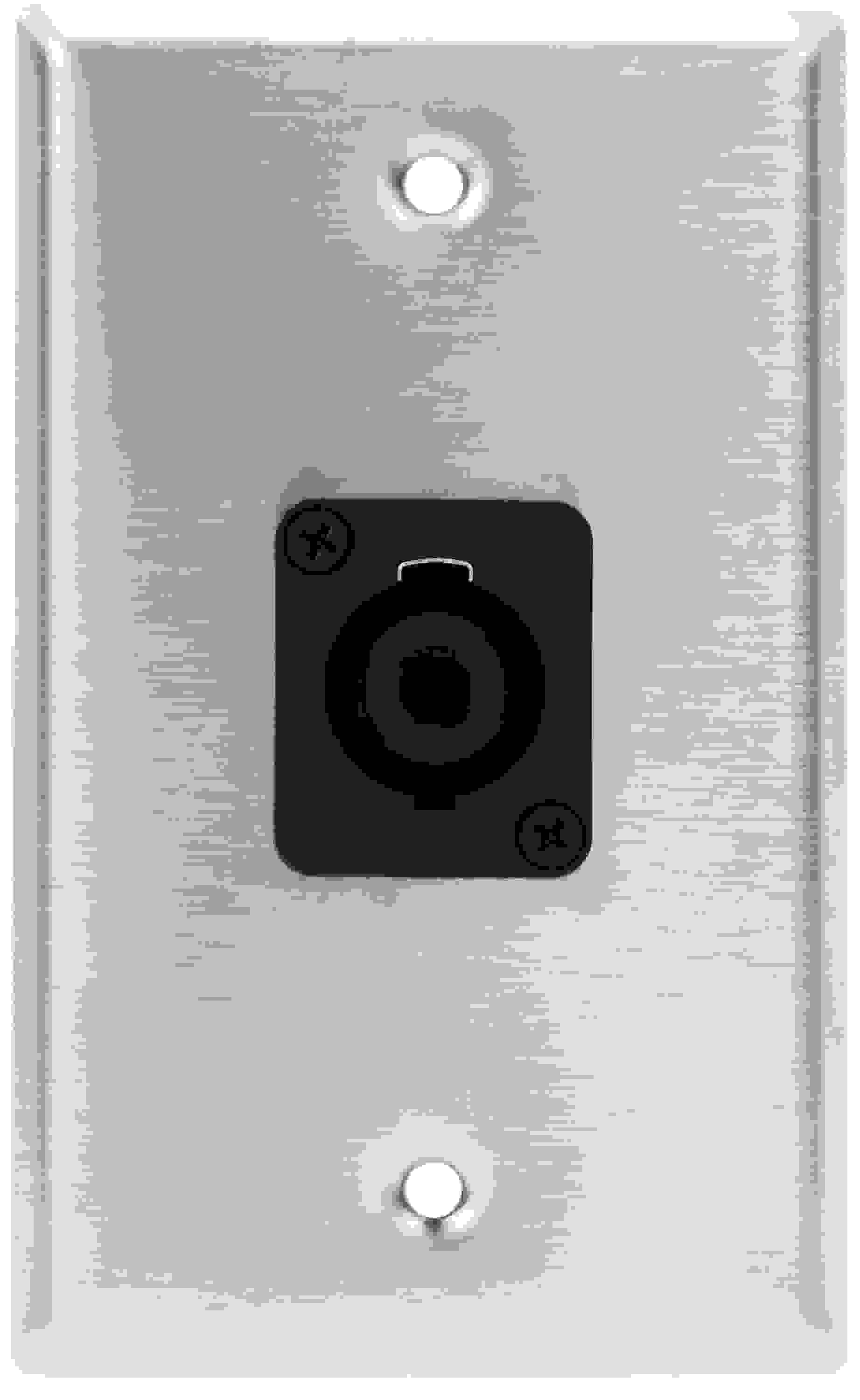 Pro Co WP1009 Single Gang Stainless Steel Wall Plate with 1 NL4MP ...