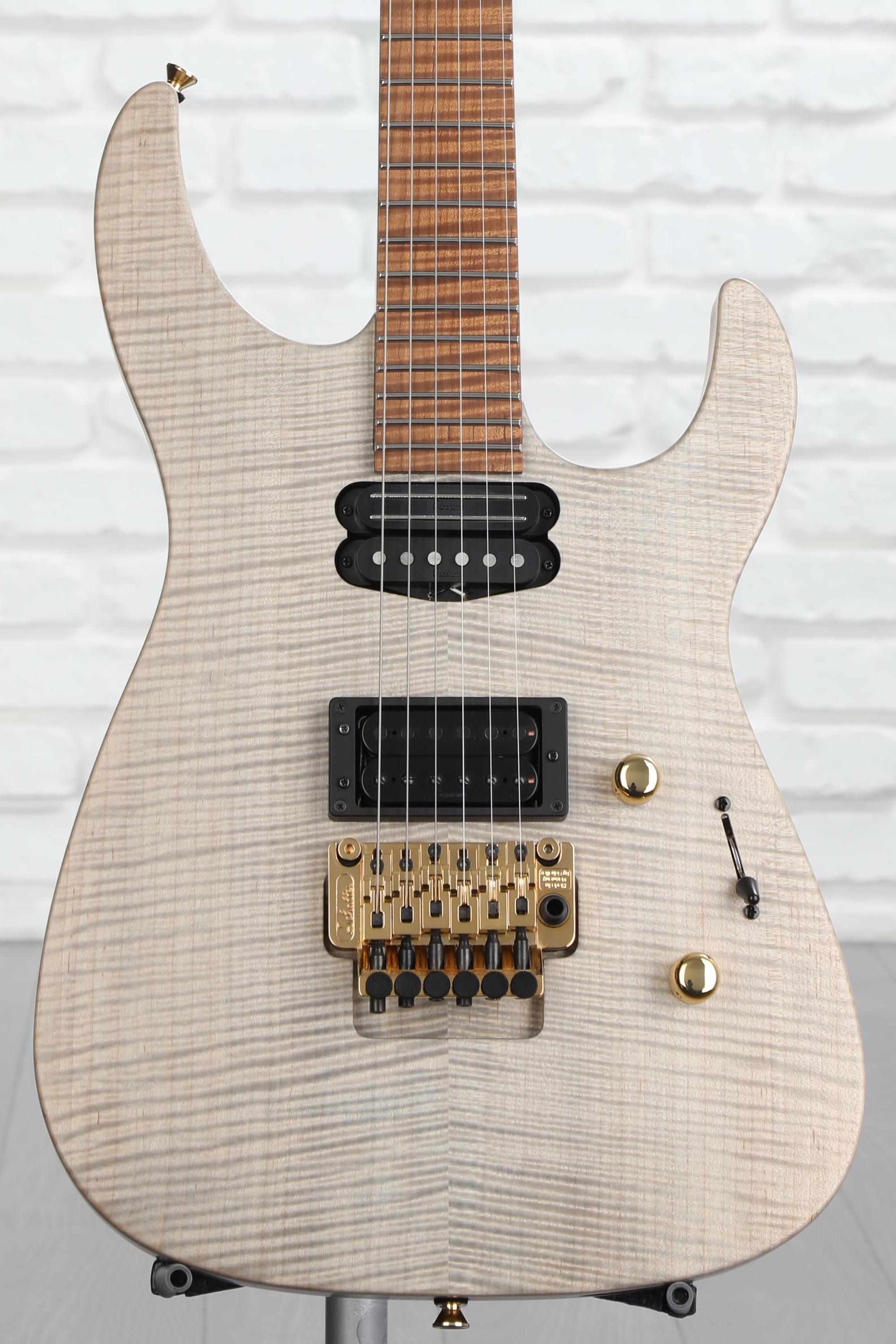 Caparison Guitars Dellinger Prominence Custom Works Electric Guitar ...