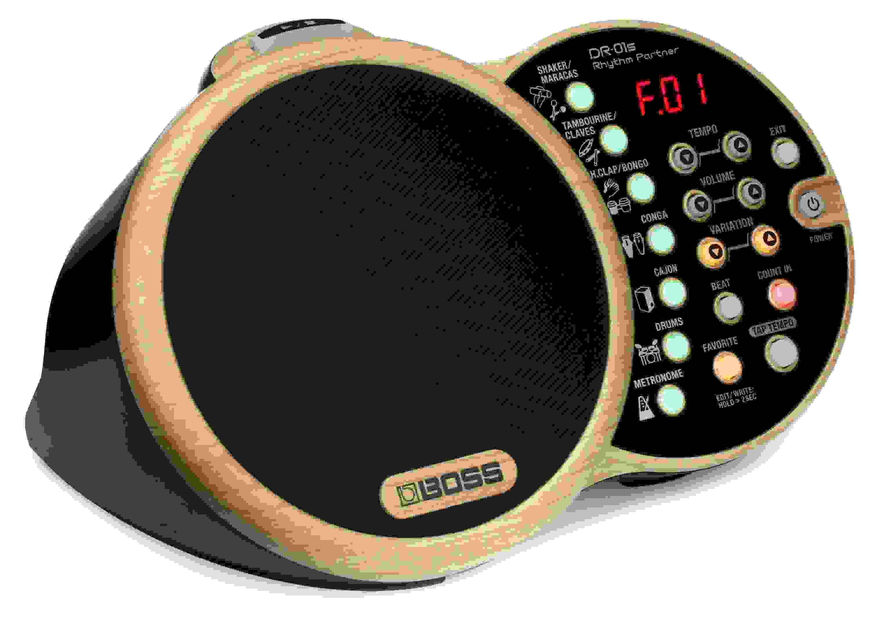 Boss DR-01S Rhythm Partner Performance Groove Machine | Sweetwater