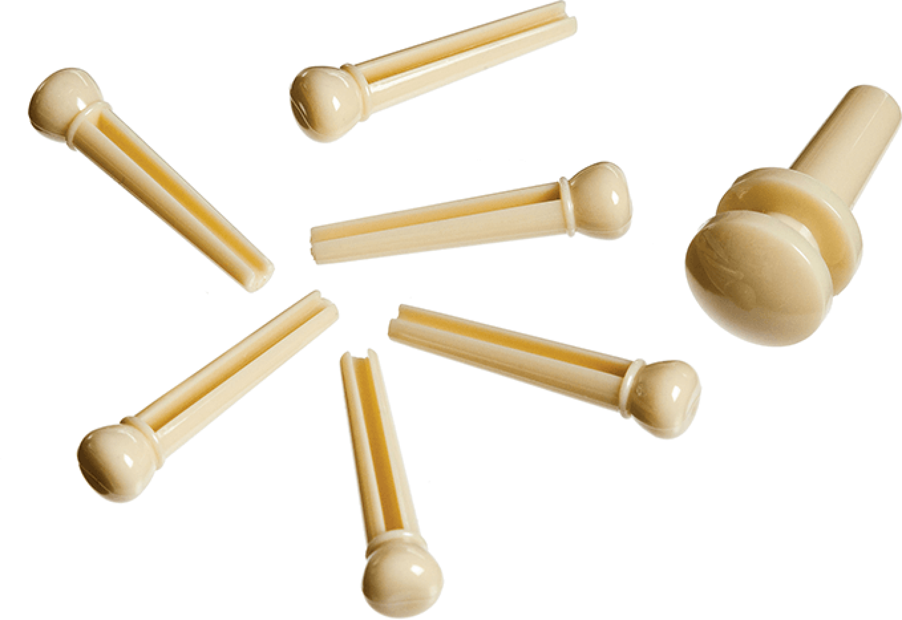 D'Addario Plastic Bridge Pins (set of 6) with End Pin - Ivory | Sweetwater