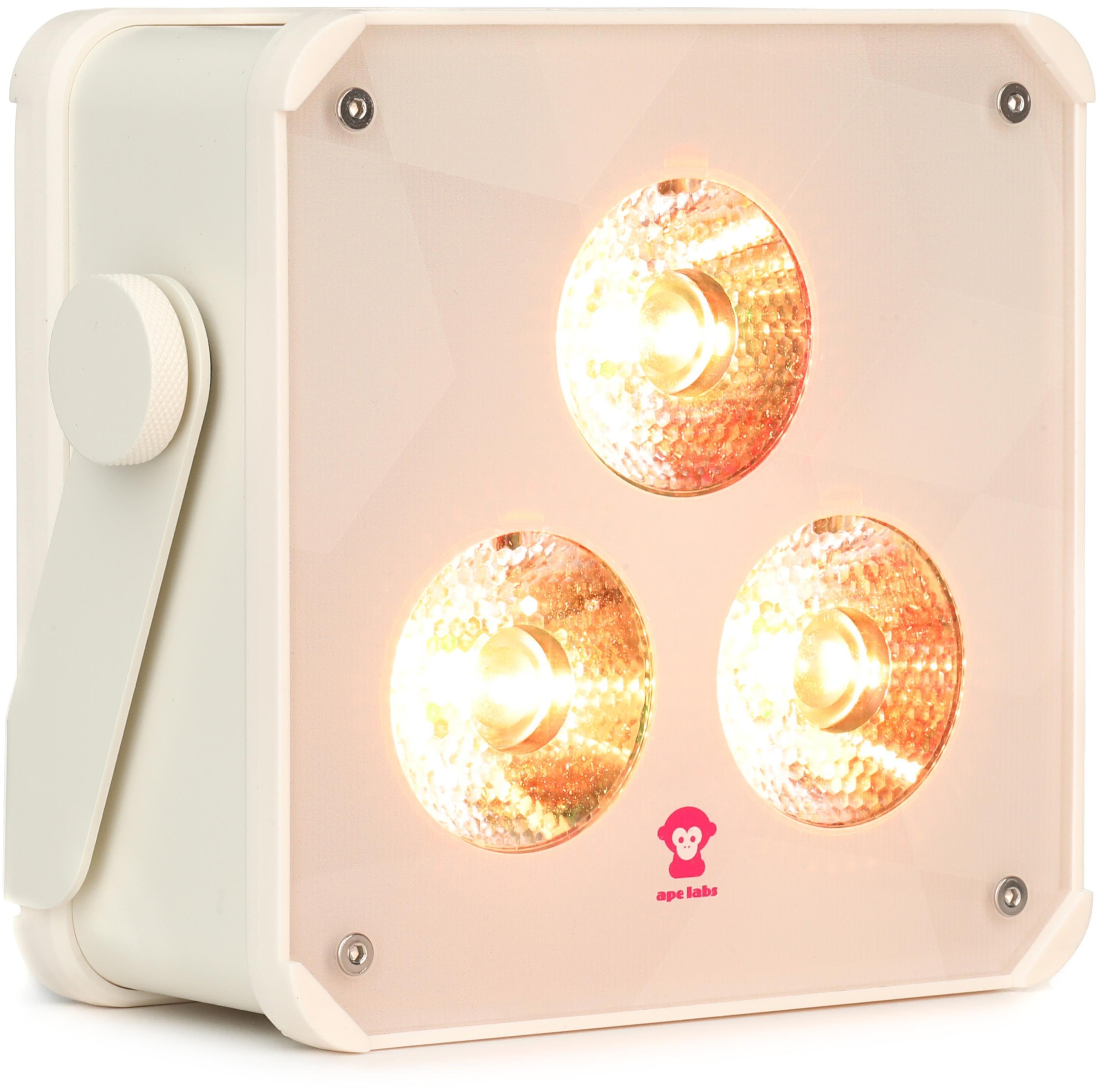 Ape Labs Maxi 2+ IP Solo - Creme | Sweetwater