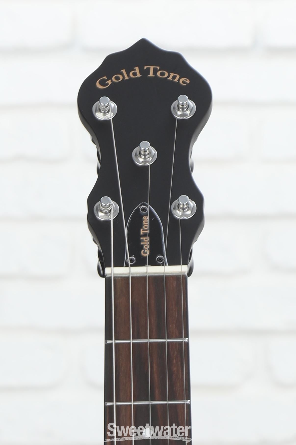 Gold Tone AC-5+1 Acoustic Composite 6-String Open-back Banjo | Sweetwater