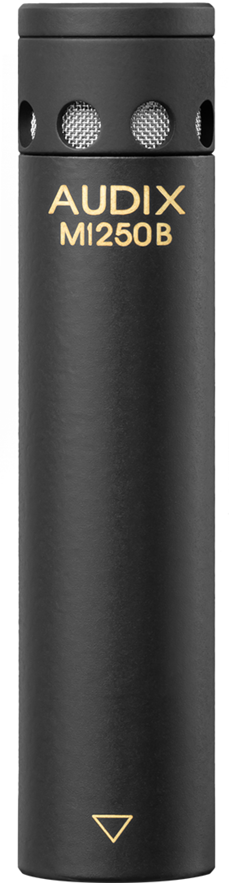 Audix M1250B Miniaturized Cardioid Condenser Microphone - Black ...
