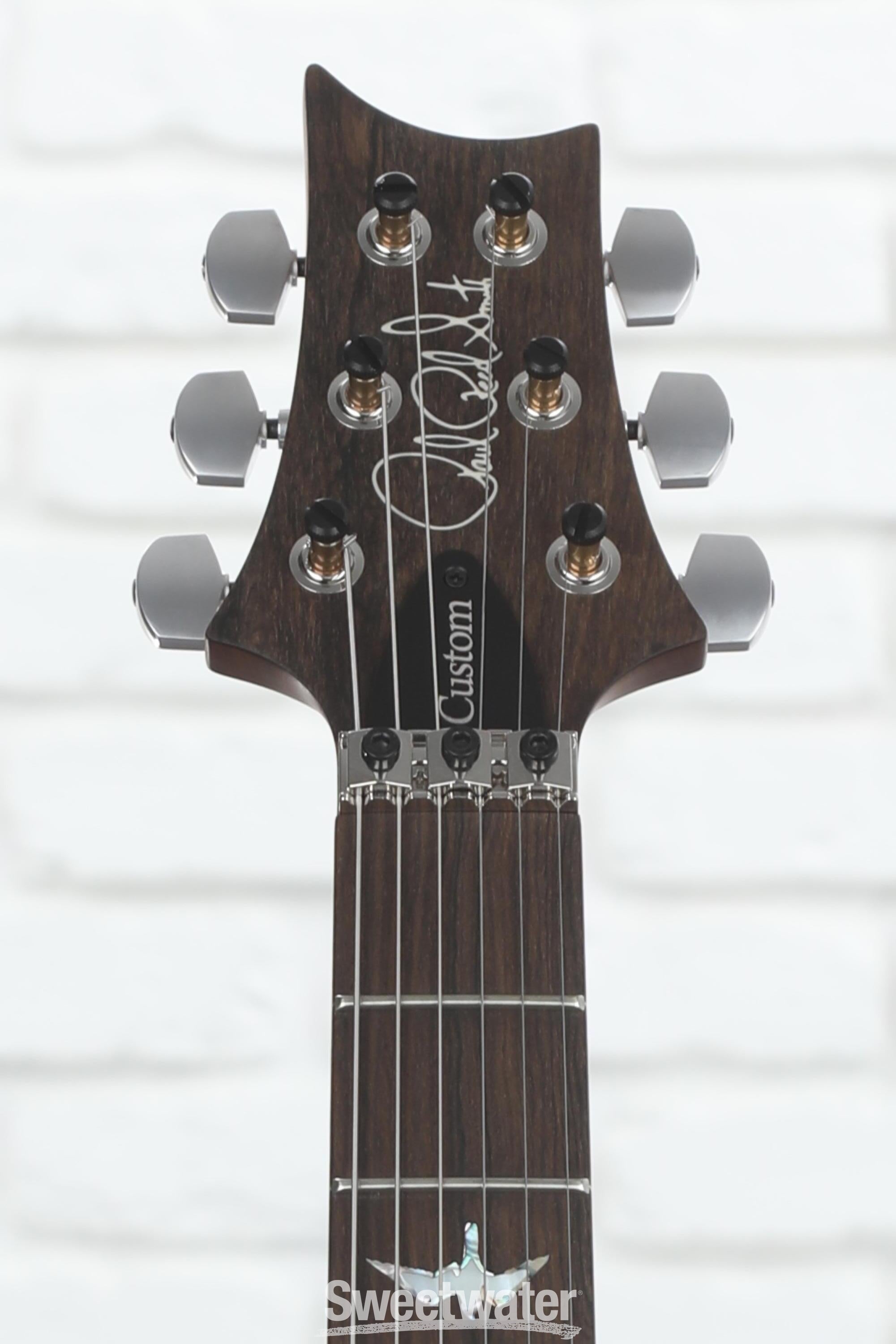 PRS Wood Library Custom 24 Floyd - Satin Frost Blue Metallic | Sweetwater