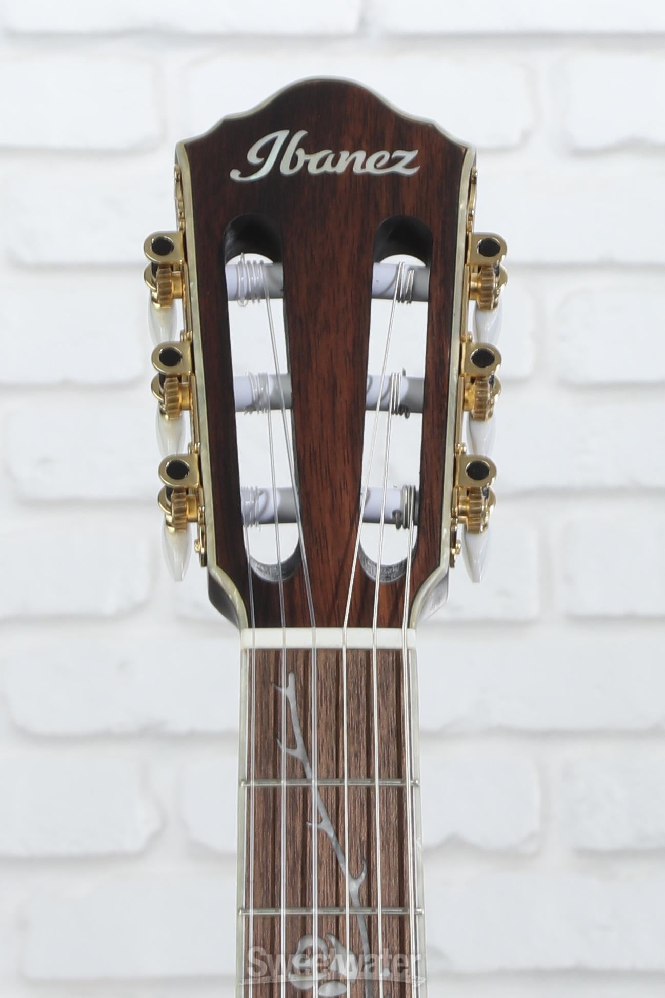 Ibanez TOD10N Tim Henson Signature Left-handed Nylon Acoustic-electric ...