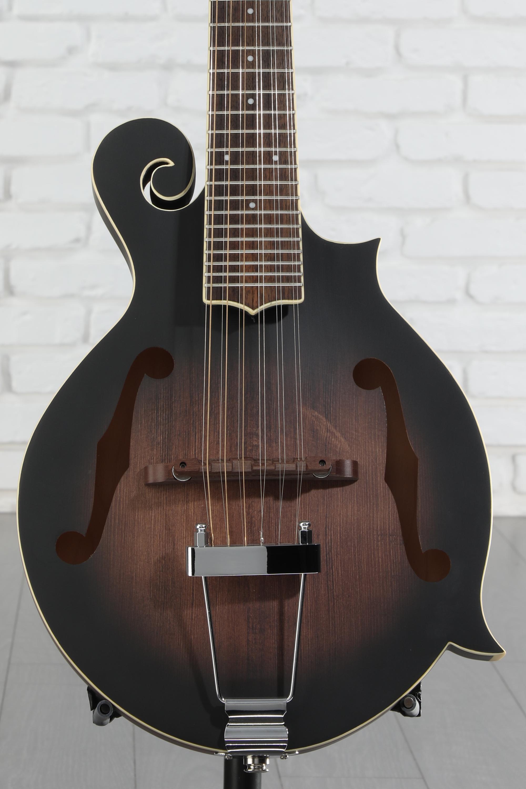 Gold Tone F-12 12-string Acoustic-electric Mando-Guitar - Tobacco ...