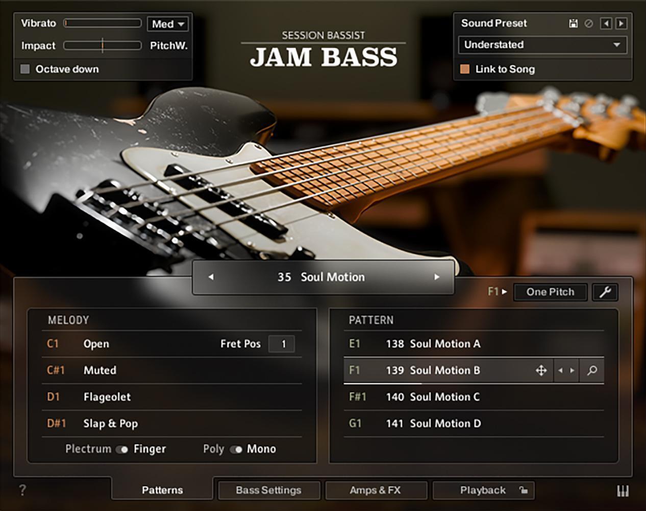 Native Instruments Session Bassist - Jam Bass Virutal Instrument ...